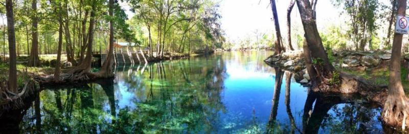Ginnie Springs