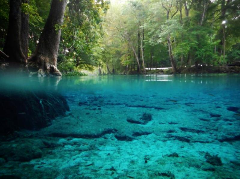 Ginnie Springs